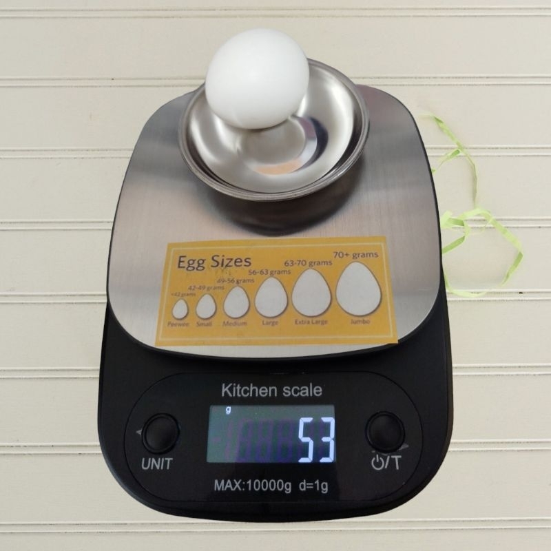 Digital Egg scale kichen scale 10000g | Shopee Philippines