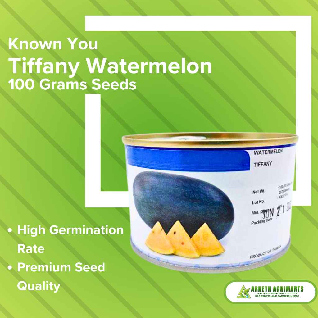ARNETH KNOWN YOU TIFFANY VARIETY WATERMELON PLANT SEEDS (100 GRAMS CAN ...