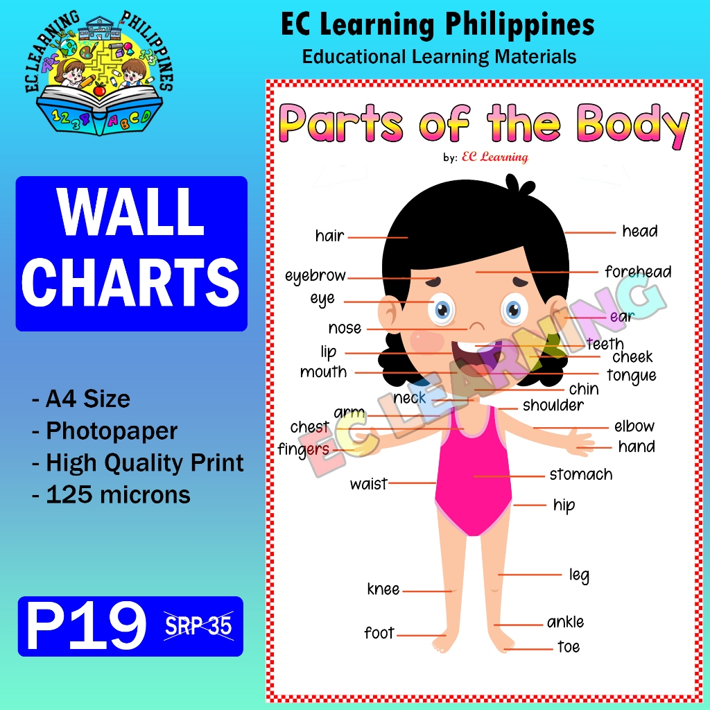 BODY PARTS Laminated Educational Wall Chart for kids - EC LEARNING ...