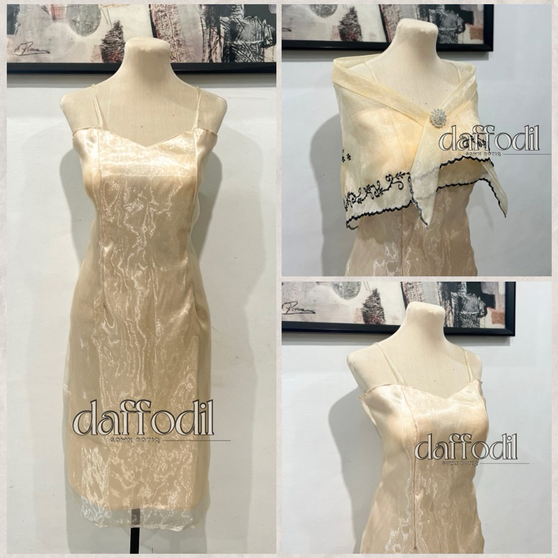 Inner Dress for Filipiniana | Shopee Philippines