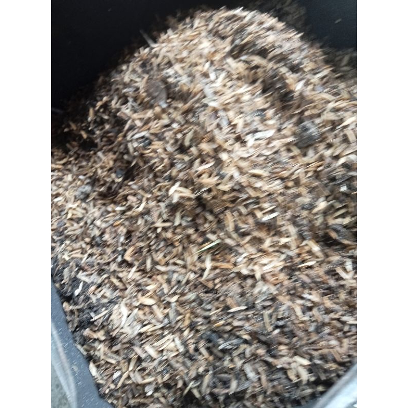 1 small sack BULOK na IPA. decaying Rice Hull.. very good for potting ...