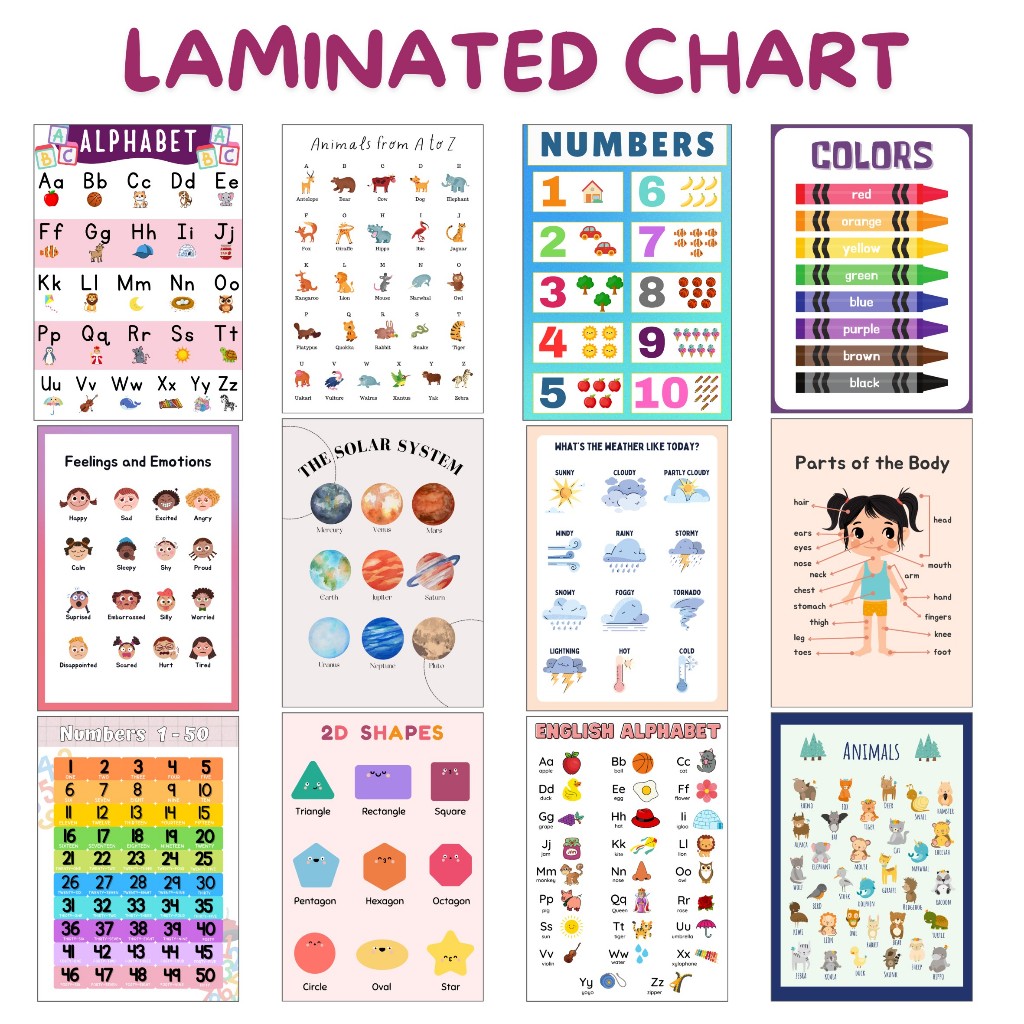 Laminated Educational Charts (A4 size) | Shopee Philippines
