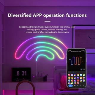TUYA LED Strip Lights Wifi 24V RGBIC Neon Rope Lights With Music Sync ...