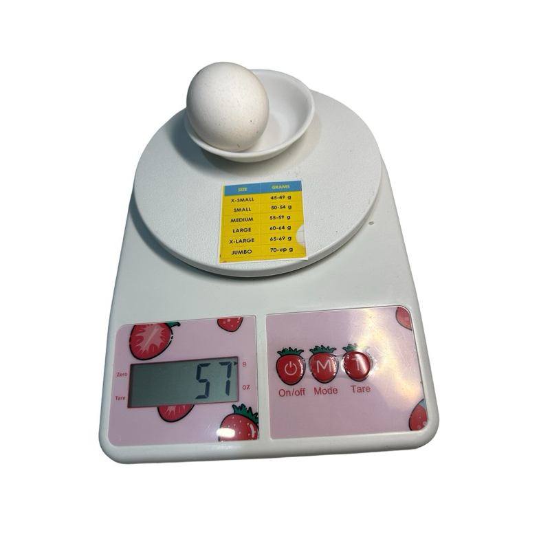 EGG scale rechargeable scale kitchen scale | Shopee Philippines