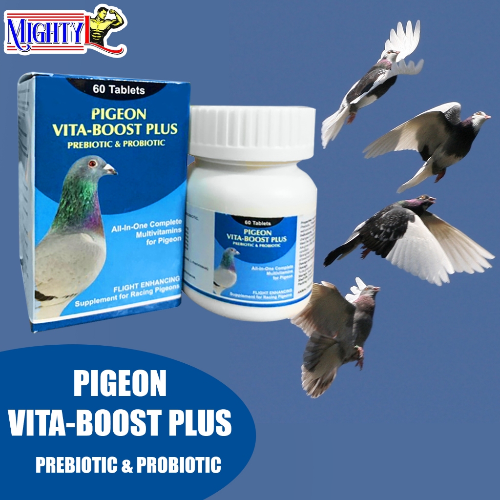Pigeon Vita-Boost Plus Supplement Multivitamins for Racing Pigeon (60 ...