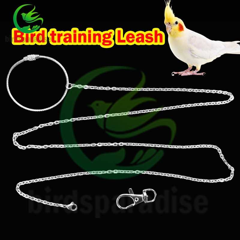 Bird training leash 45-80cm Stainless steel Parrot rope with rings for ...