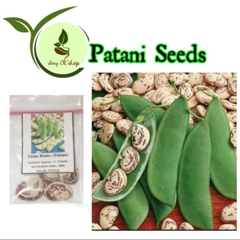 Lima o Patani Vegetable Seeds | Shopee Philippines