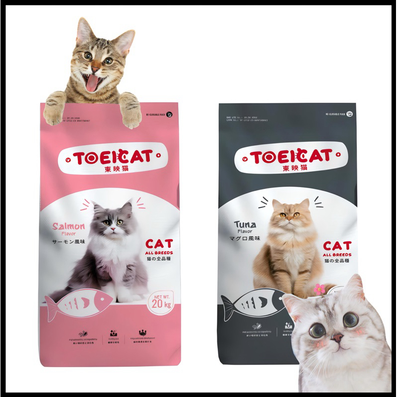ToeiCat All Stages Adult Kitten Salmon Tuna Flavor Dry Food Cats 1kg ...