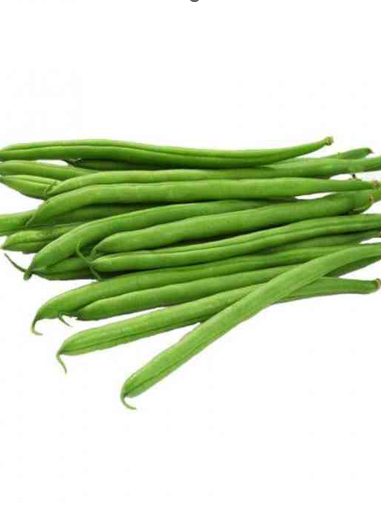 BAGUIO BEANS Seeds ( Sagana) | Shopee Philippines