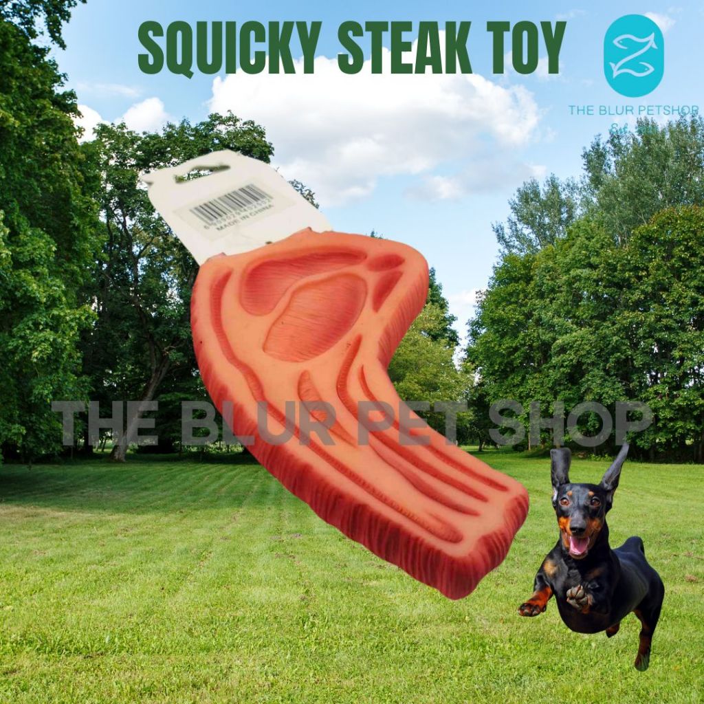 Pet Dog Squeak Chew Toys Funny Steak Designs Dog Toys For Small Large ...