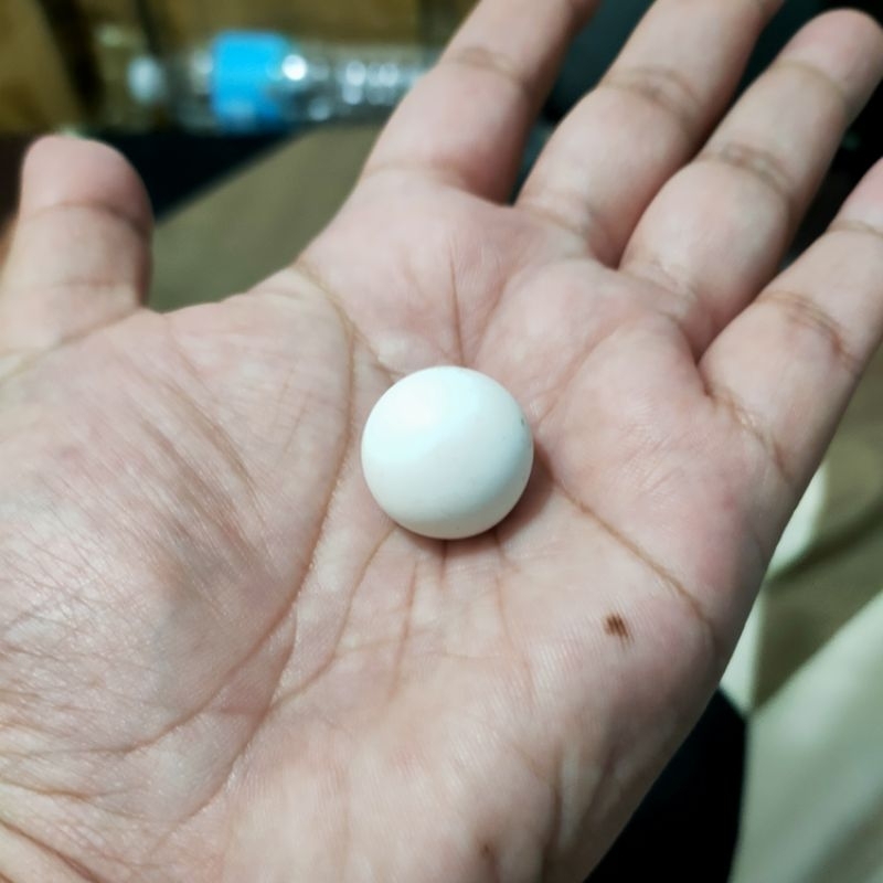 White Leklai Bato Omo Small with Oracion | Shopee Philippines