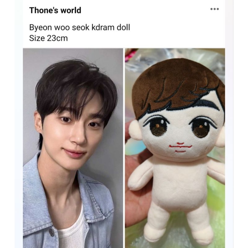 Kdrama Byeon woo seok doll 23cm | Shopee Philippines