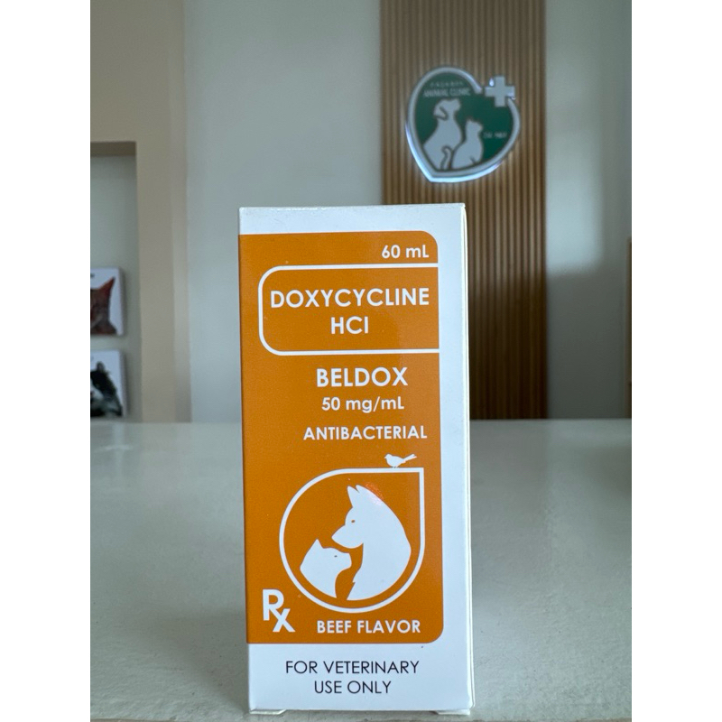 Doxycycline (Beldox) 50 mg./ml | Shopee Philippines