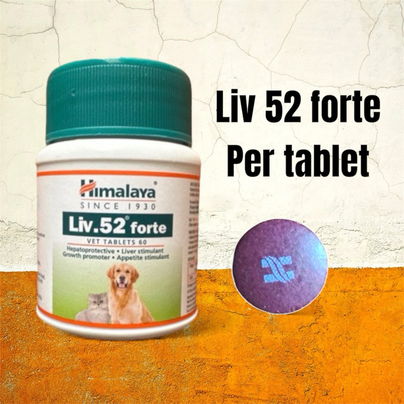 Liv 52 forte Sold Per Tablet | Shopee Philippines