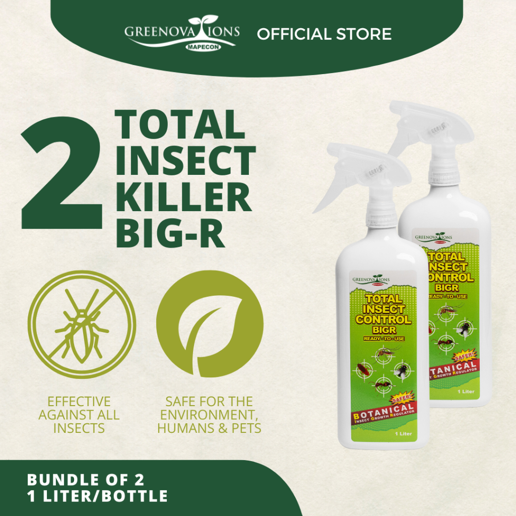 MAPECON BIG-R Total Insect Killer - BUNDLE OF 2 | Shopee Philippines