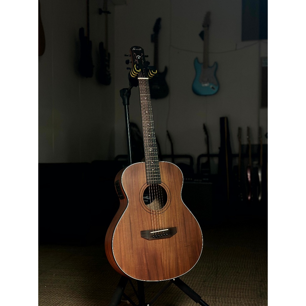 Fermata GS-36 Acoustic-Electric Guitar with Semi Arc Back | Shopee ...