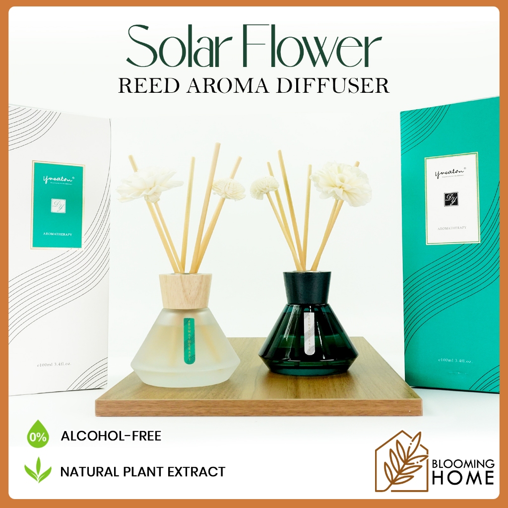 Solar Flower Reed Diffuser Home Fragrance Essential Oil with Natural ...