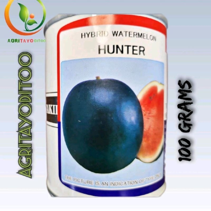 HUNTER F1 HYBRID WATERMELON SEEDS (100 GRAMS) TAKII | Shopee Philippines