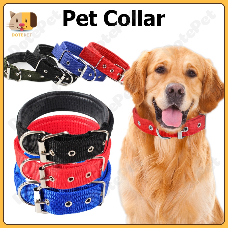 Pet Dog Collars big dogs Collars Color Foam Pet Collars for big dog ...