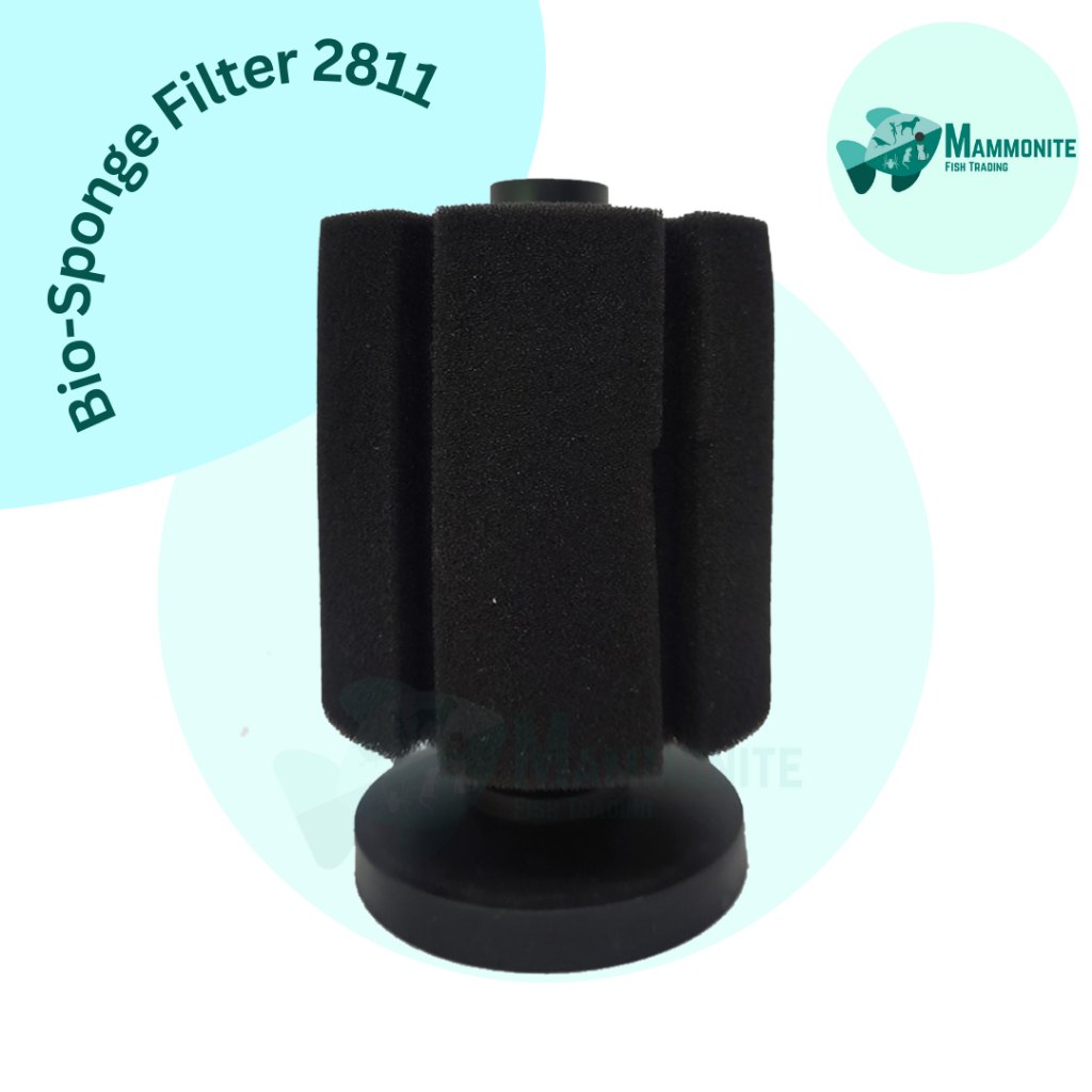 Aquarium Tank Bio Filter Sponge 2811 8.5x10cm | Shopee Philippines