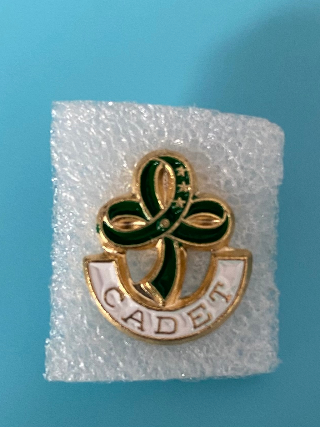 ORIGINAL GSP PIN ACCESSORIES TWINKLER, STAR, JUNIOR,SENIOR, TROOP ...