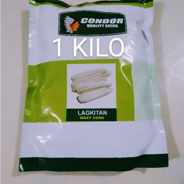 LAGKITAN OPV WAXY CORN SEEDS(1 KILO)BY CONDOR SEEDS | Shopee Philippines