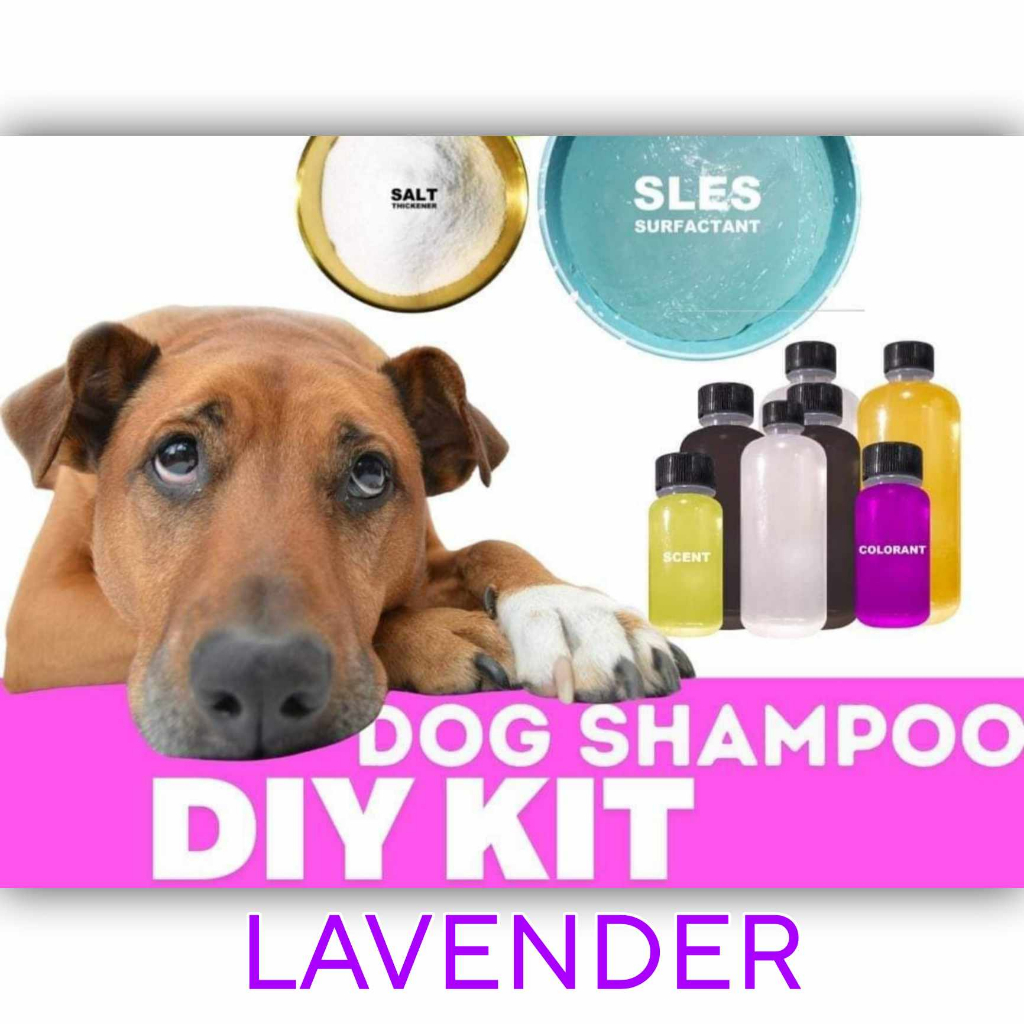 MADRE DE CACAO DOG SHAMPOO WITH CONDITIONER- DIY NEGOSYO KIT | Shopee ...