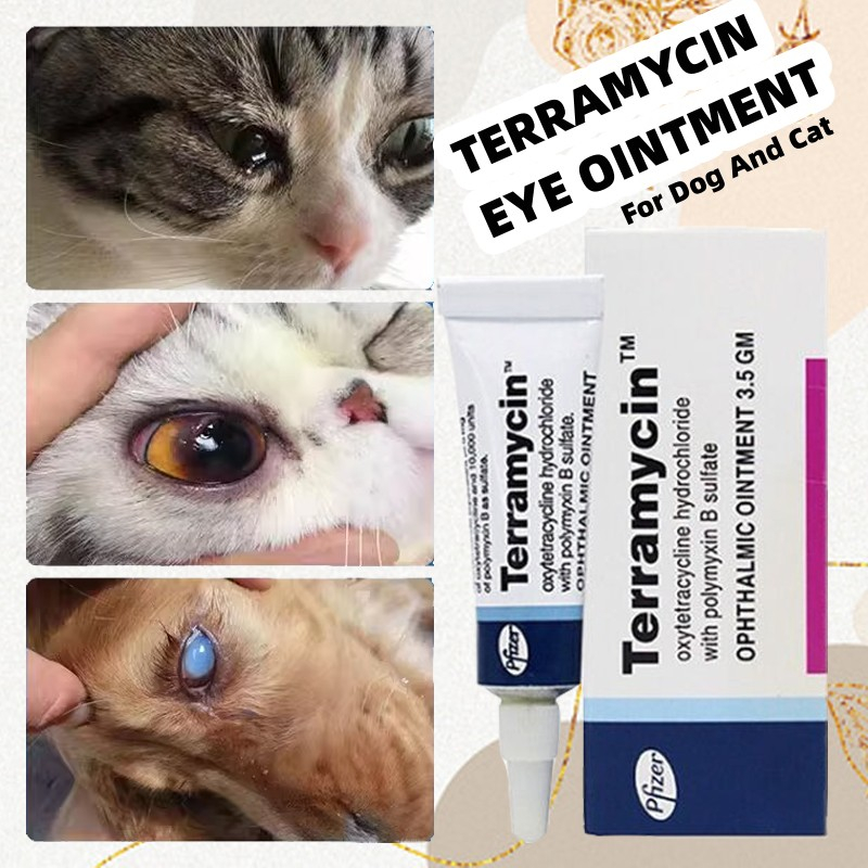 Terramycin 3.5g Pet Ophthalmic Ointment Conjunctiva Pet Eye Care ...