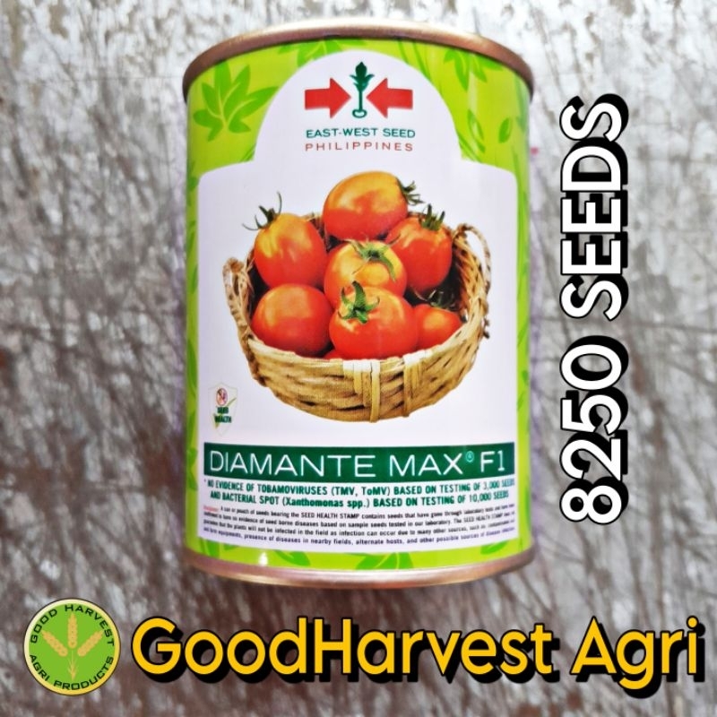 DIAMANTE MAX F1 HYBRID TOMATO SEEDS (8250 SEEDS) EAST WEST | Shopee ...
