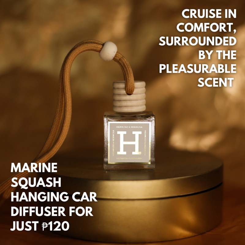 Hanging Car Diffuser Marine Squash Scent | Shopee Philippines