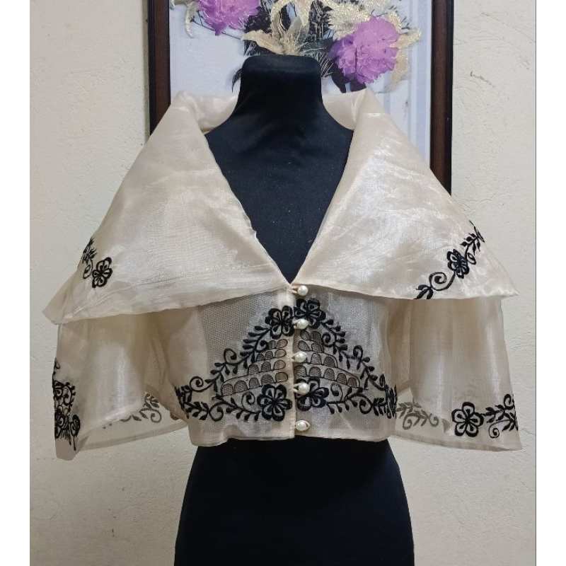 Modern filipiniana Maria Clara top,piña organza beige and beige with ...