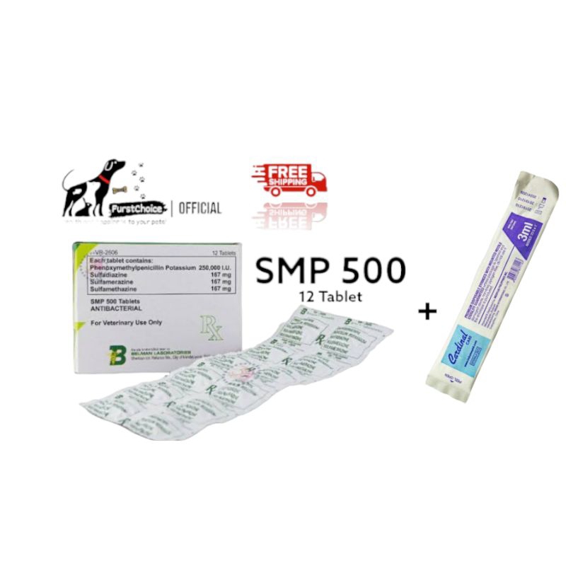 SMP 500 Antibacterial (12tabs) + Syinge | Shopee Philippines