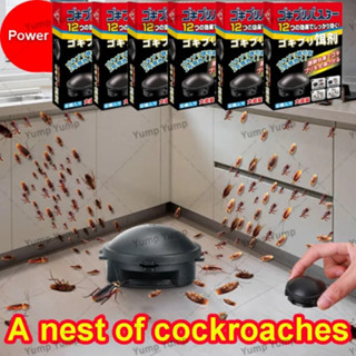 Long Acting Cockroach Bait Roach Killer Safe Anti Touch Cockroach ...
