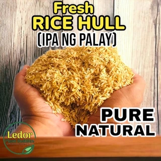 Shop rice hull for Sale on Shopee Philippines