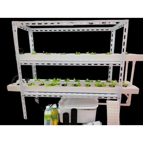 HYDROPONICS COMPLETE NFT/DFT SET , HYDROMIA | Shopee Philippines