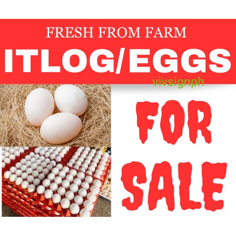 Laminated Itlog/Egg Signages A4 Size Makapal 250mic Matibay Waterproof ...
