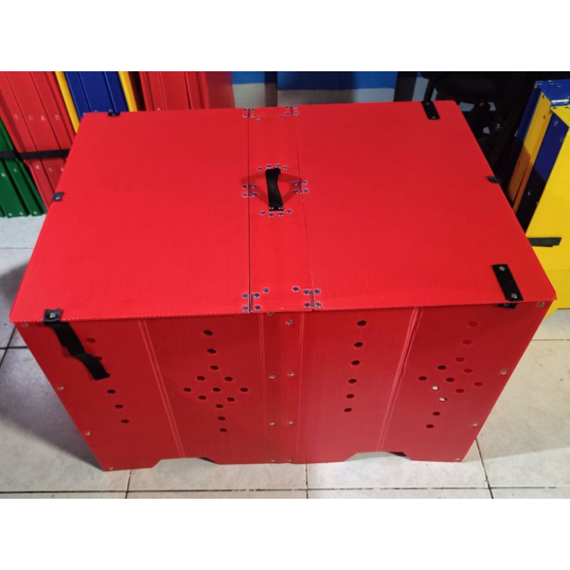 Gamefowl Folding Cage - 2 Division for Keeping / Dalawahan - pang ...