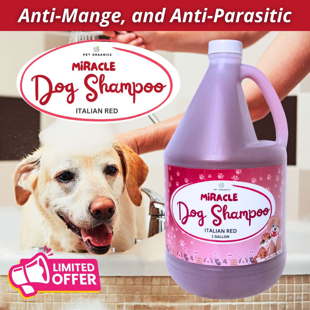 Miracle Dog Shampoo Italian Red 1 Gallon Anti Mange Hypoallergenic Anti ...