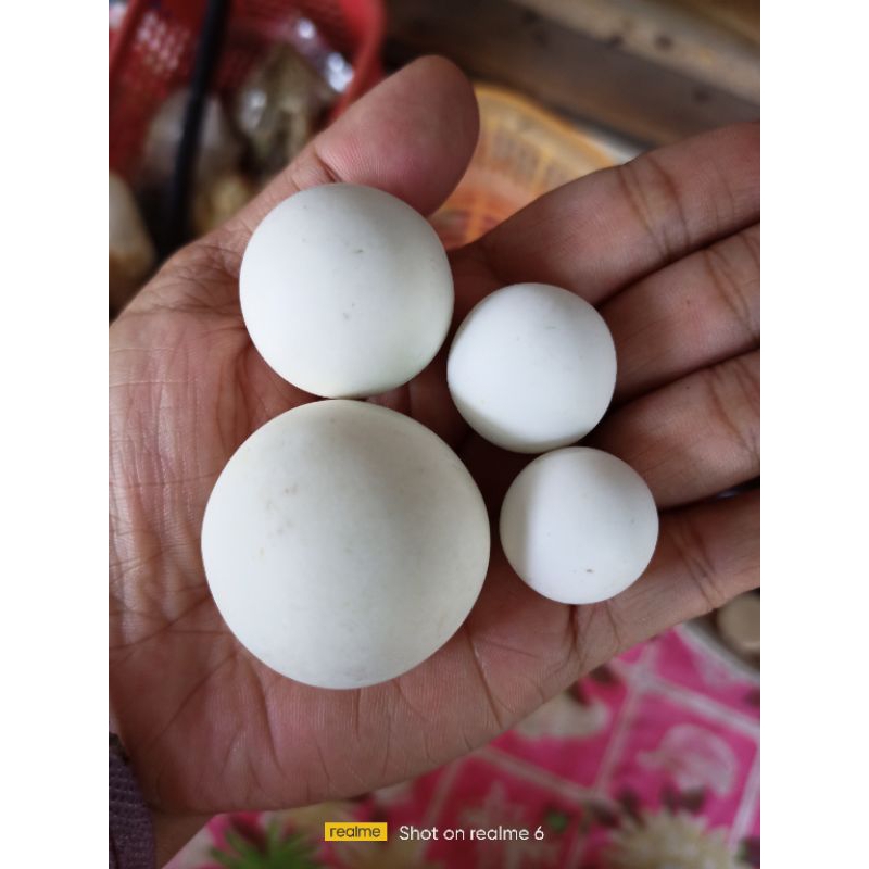 bato omo Normal Piso size or 5 peso size | Shopee Philippines