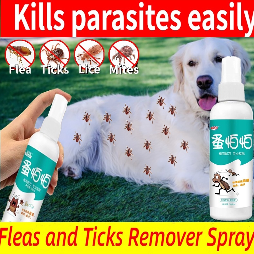 100ml Flea And Tick Repellent Spray Tick and Flea Spray Remover Anti ...
