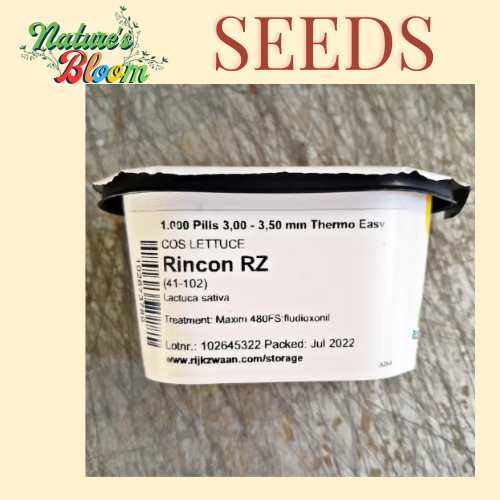 Rincon RZ SEEDS Cos MINI ROMAINE Lettuce 1,000 pills (Rijk Zwaan ...