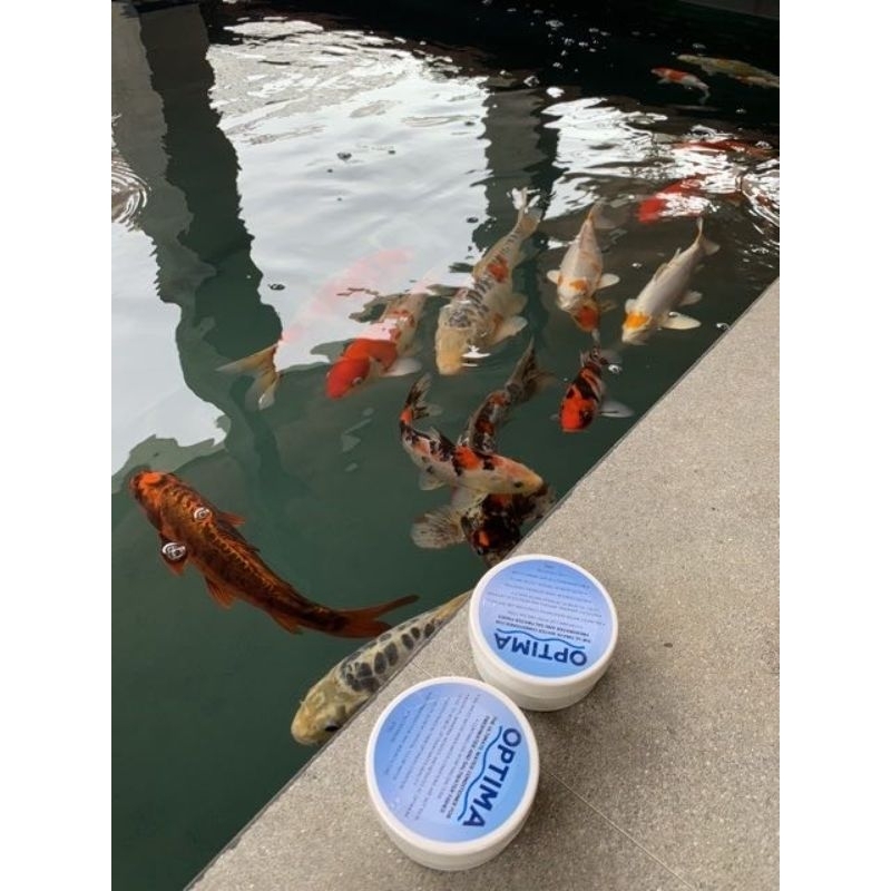 Optima kubo aquatics 100g tub water conditioner good bacteria pond ...
