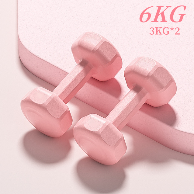 Dumbbell Set Pair 1KG to 3KG Lady Dumbbell Muscle Fitness Exercise Equipment | Shopee Philippines