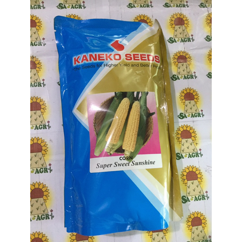 Super Sweet Sunshine Waxy Corn Seeds (500grams) | Shopee Philippines