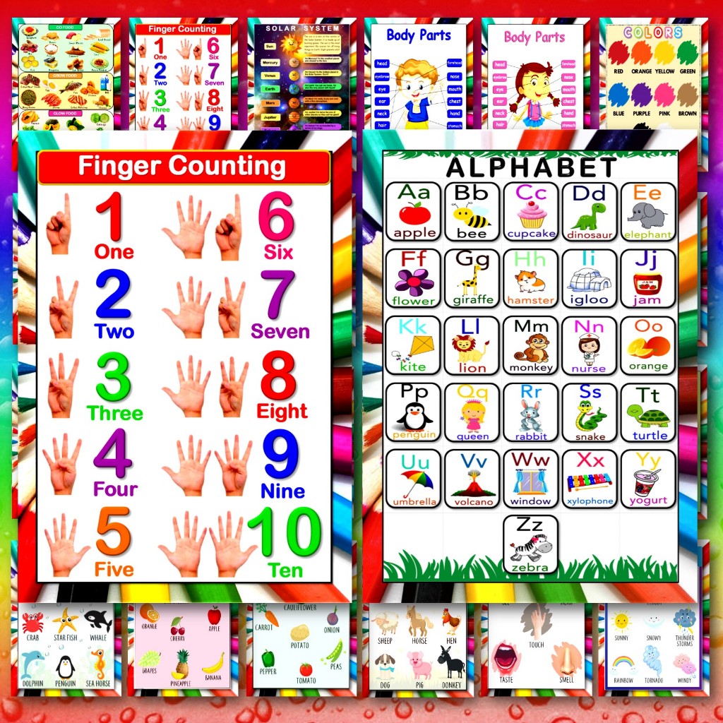laminated educational wall chart for kids a4 size printed in photopaper ...