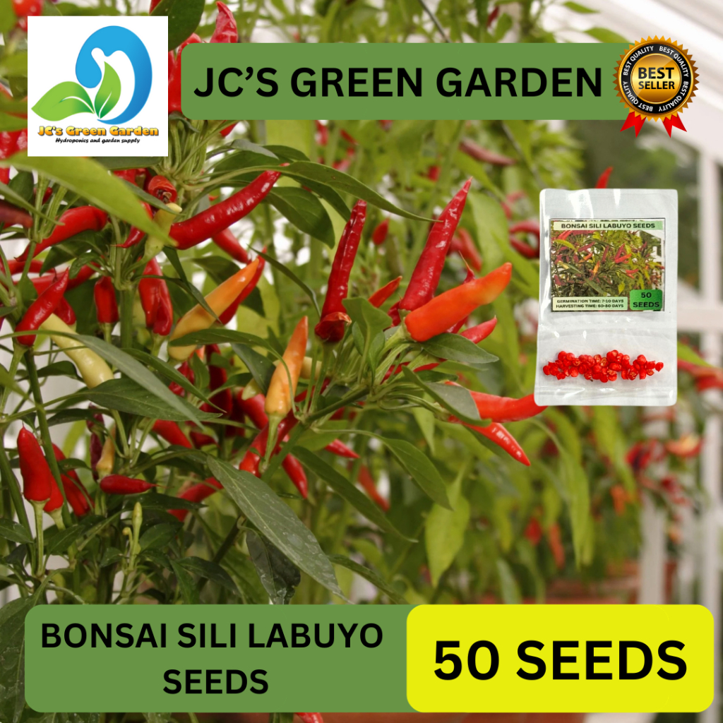 (50 SEEDS) BONSAI SILING LABUYO SEEDS /FOR PLANTING/FOR POT AND ...