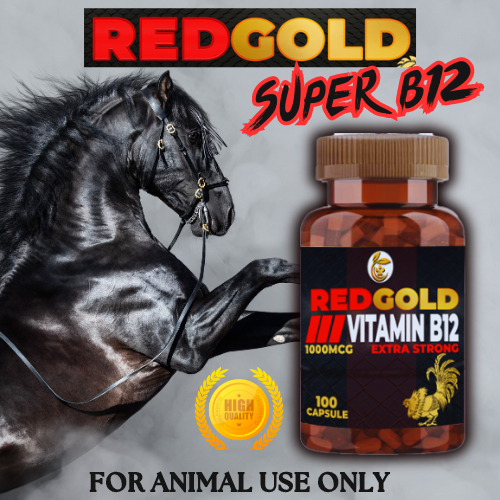 REDGOLD SUPER VITAMIN B12 CAPSULES (100 PCS CAPSULE) | Shopee Philippines