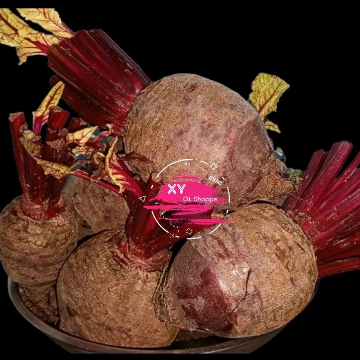 sugar beets fresh beets (1kl) | Shopee Philippines