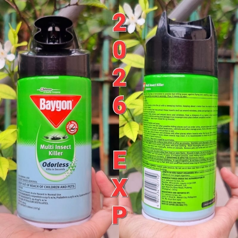 BAYGON MULTI-INSECT KILLER ODORLESS 300 ML (PANGIT LABEL/MEDYO KULUBOT ...