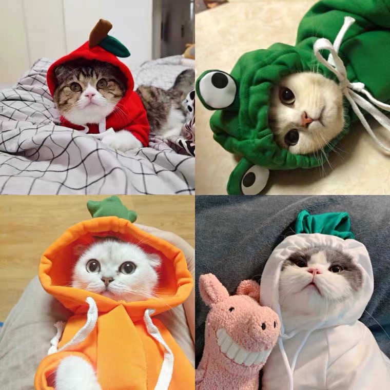 Cutie Pet Clothes Desigsn Fruits & Vegetables Design with Coat Hoodies ...